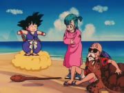Master Roshi Ultra Dragon Ball Wiki Fandom