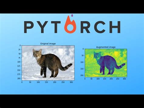 How To Do Data Augmentation In Pytorch Reasontown