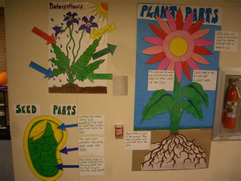 Science Visual Aides Keith Andruskys Art