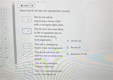 Solved Match The B Cell Type The Appropriate Concept This B Chegg Com