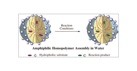 Amphiphilic Homopolymer As A Reaction Medium In Water Product