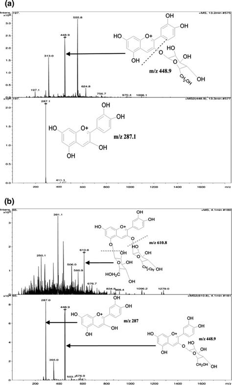 Esi Msms Fragmentation Pattern And Proposed Structures Of Few Of The