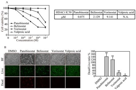 Ijms Free Full Text Hdac1 And Hdac2 Double Knockout Triggers Cell