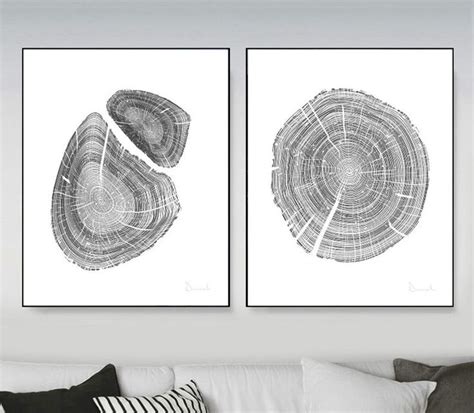 Oak Tree Rings Black And White Hand Drawn Printable English Oak Anniversary T 12 X 16