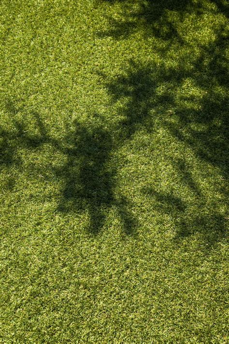 Royal Grass® Elite Royal Grass® Kunstrasen