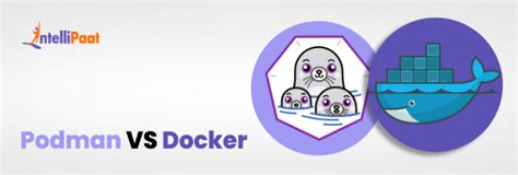 Docker Vs Podman Which Container Tool Is Better Intellipaat