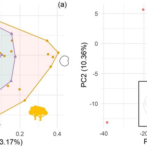 Pca On Shape Variation With Visualization Of Extreme Shape For The Two