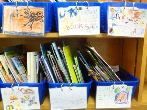 Classroom Library Bin Labels