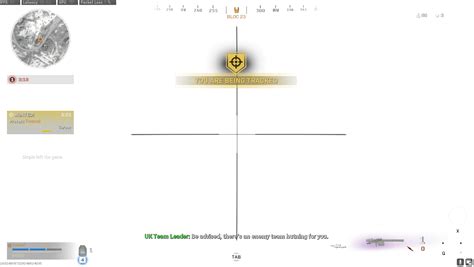 Bug With Aim Down Sights Codwarzone