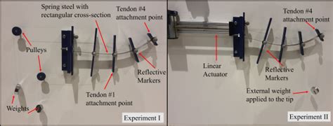 modelling of tendon driven continuum robot based on constraint analysis