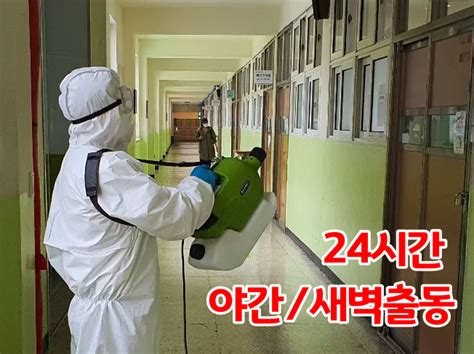 해충방역 바퀴벌레 개미 좀벌레 노래기 먼지다듬이 등 크몽
