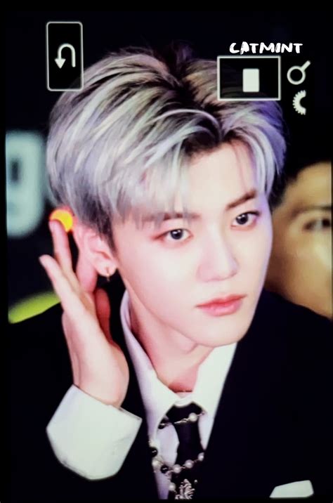 Catmint Catmint 0813 Twitter