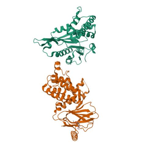 Rcsb Pdb 5sty Pandda Analysis Group Deposition Aar2rnaseh In Complex With Fragment P03d02