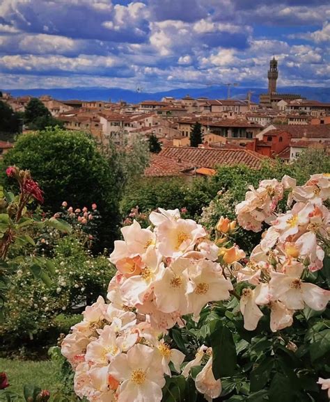 Andy 816 Andy Aim19 • Instagram Photos And Videos