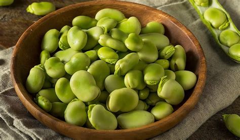 Habas ¿que Son Origen Beneficios Tipos Valor Nutricional Y Más