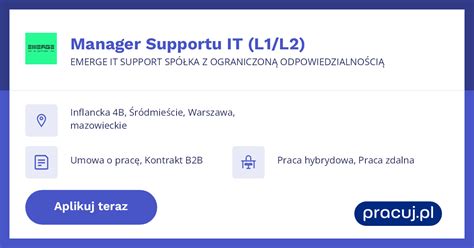 Oferta Pracy Manager Supportu It L1 L2 Emerge It Support SpÓŁka Z OgraniczonĄ