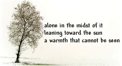 Winter Haiku Illustrated Poetry