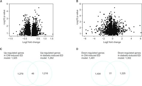 Differentially Expressed Genes In Cavernous Nerve Injury Cni And