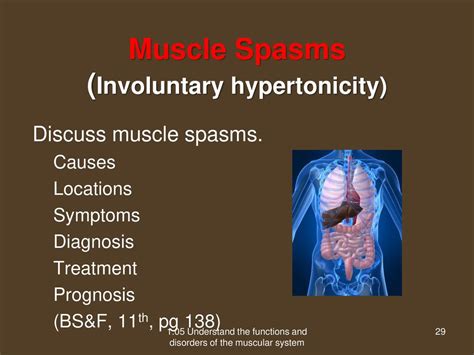 105 Understand The Functions And Disorders Of The Muscular System