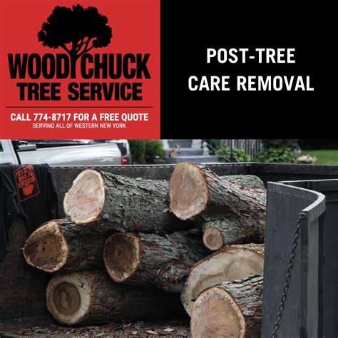 Post Tree Removal Care Woodchuck Tree Service