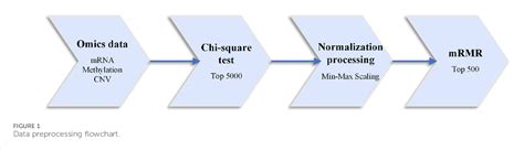 figure 1 from classifying breast cancer using multi view graph neural