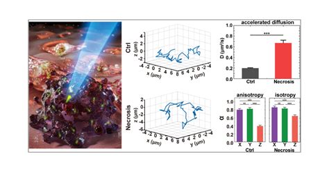 Quantum Dot Based Three Dimensional Single Particle Tracking