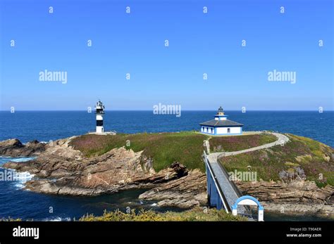 Island With Two Lighthouses Cliff And Violet Flowers Sunny Day Isla
