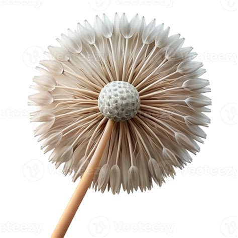 Striking Joyful Rustic Hyper Specific Professional Render Isolated