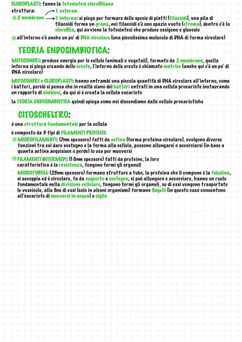 Spiegato Semplicemente Cellula Procariote Ed Eucariote Differenze