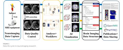 Figure 1 From Project Toolkit And Database Of Neuroinformatics Ecosystem A Summary Of