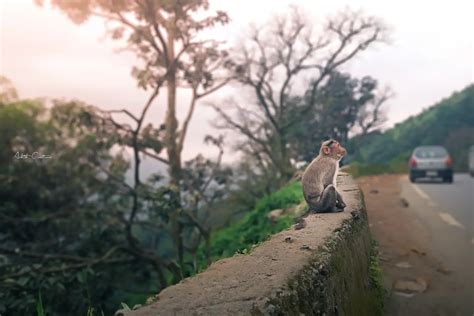 Ankith Gowda Shuttered By Ankith • Instagram Photos And Videos