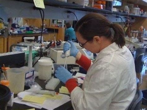 About The Program Unc Md Phd Program