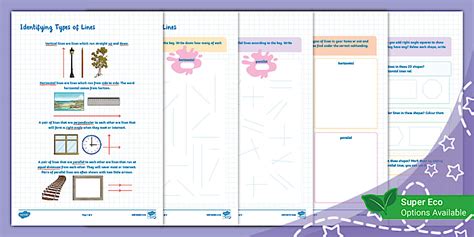 👉 Identifying Types Of Lines Ages 7 8 Twinkl
