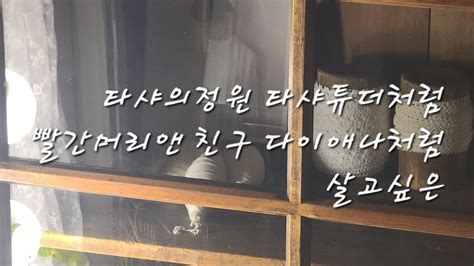 레트로 빈티지감성 앤틱골동품민속품수집 타샤의정원 타샤튜더처럼 빨간머리앤 친구 다이애나처럼 살고싶은 전북 부안 내소사가는