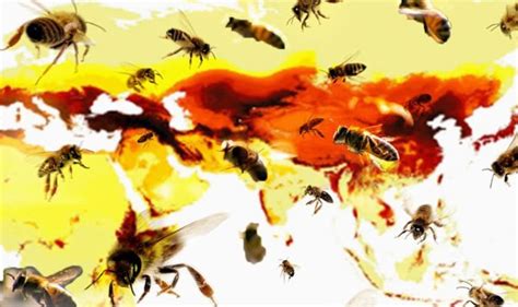 Bee Population Mapped 20000 Bee Species Pinpointed In Vital