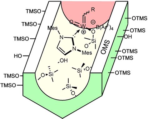 Macrocyclization Of Dienes Under Confinement With Cationic Tungsten
