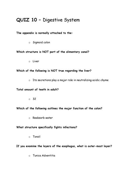 Quiz 10 Digestive System Quiz 10 Digestive System The Appendix Is Normally Attached To