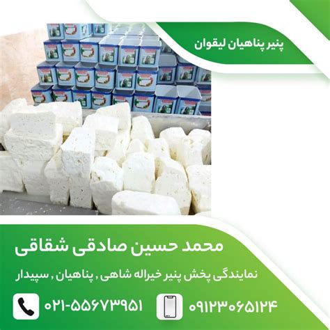 پنیر لیقوان خیراله شاهی پناهیان سپیدار محمدحسین صادقی شقاقی پنیر لیقوان