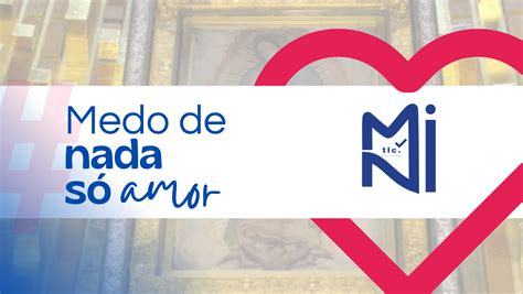 Mini Tlc Curitiba Curitiba Pr