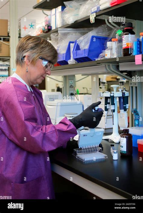 Zika Mac Elisa Test Preparations Microbiologist Preparing Reagents To