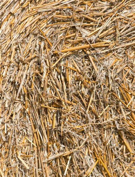 Dry Hay As An Abstract Background Texture Stock Image Image Of Texture Brown 292948935