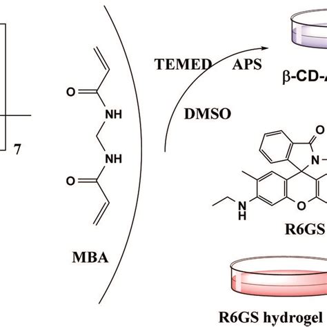 Synthesis Of Hydrogel Sensor By Guesthost Interaction Download