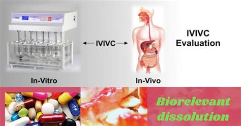 Biorelevant Media L Prediction Of Plasma Profile L Development Of Ivivcs