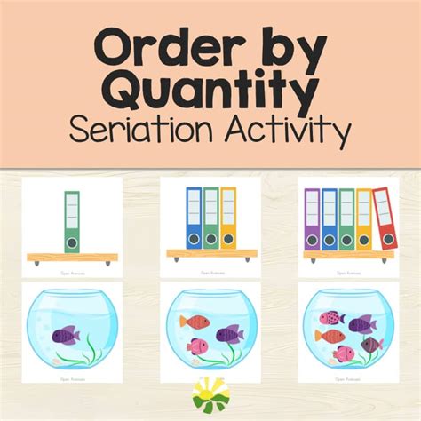 Order By Quantity Seriation Activity Ablls R B25 Tpt