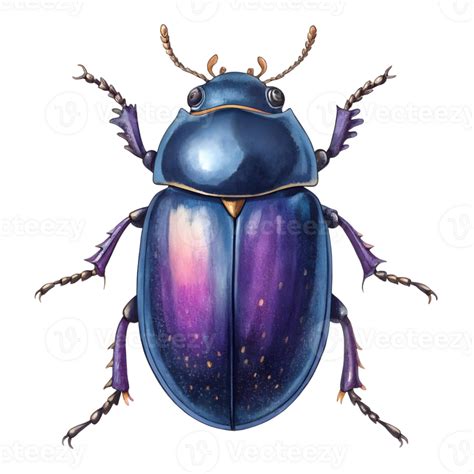 Stunning Iridescent Blue And Purple Beetle Illustration Detailed