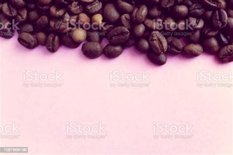 아름 다운 질감의 갓 선택한 맛 있는 풍부한 갈색 자연 향기로운 커피 나무 곡물 Arabica 커피 콩 Robusta 구이 평평 하다 고 분홍색 자주색 배경에 공간 복사 0