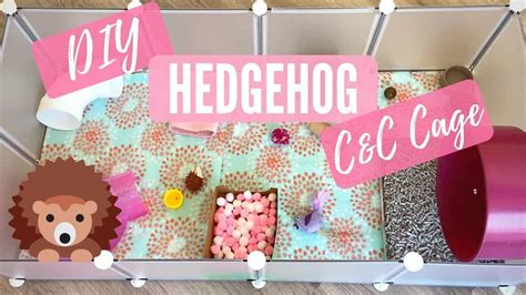 30 Diy Hedgehog Cage Ideas