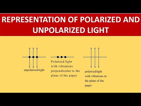 Unpolarized Definition