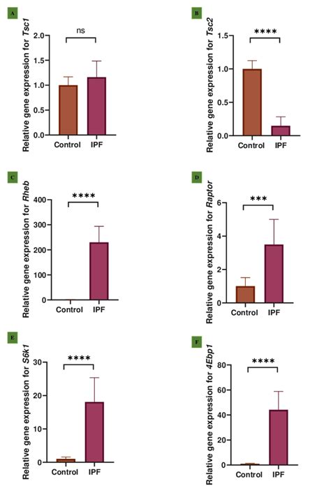 The Gene Expression Alterations Within The Lung Tissues From The Download Scientific Diagram