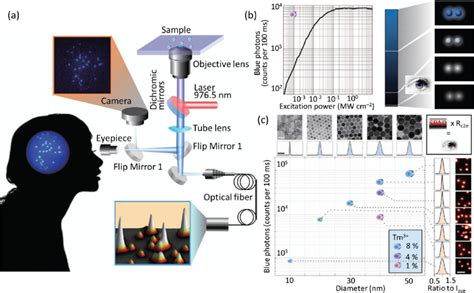 A Microscope System To Study The Sensitivity Of A Ccd Camera And The